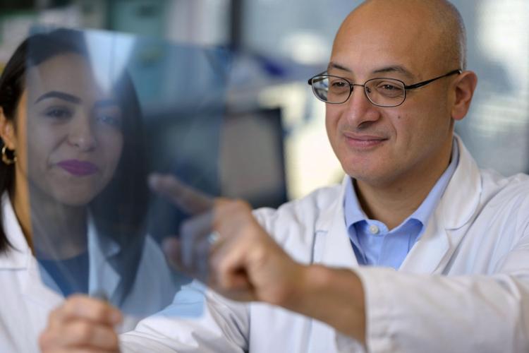 Blood Cancer United, formerly The Leukemia & Lymphoma Society ...