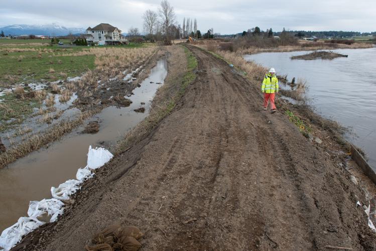 Samish River dike repaired before further flooding | Local News ...