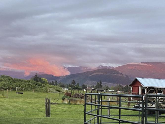 Skagit Views — Nature's constant evolution | 360 | goskagit.com