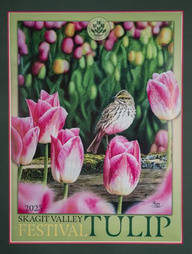 Skagit Valley Tulip Festival unveils 2023 poster | Art | goskagit.com