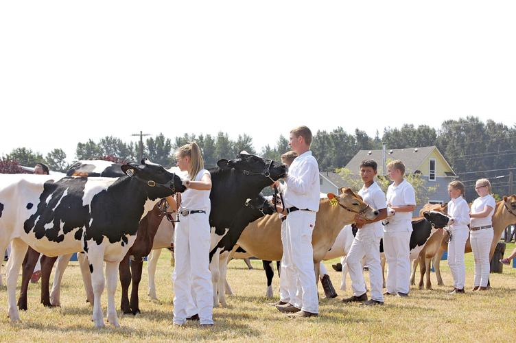 Silvana Fair steeped in tradition | News | goskagit.com