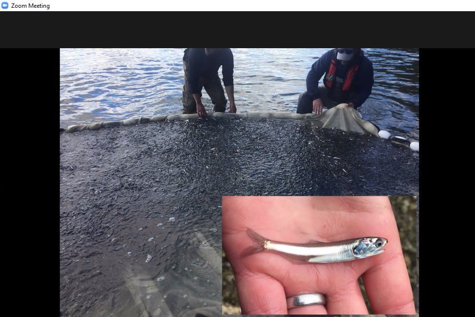 Newest Salish Sea Stewards at the ready — and waiting | News | goskagit.com