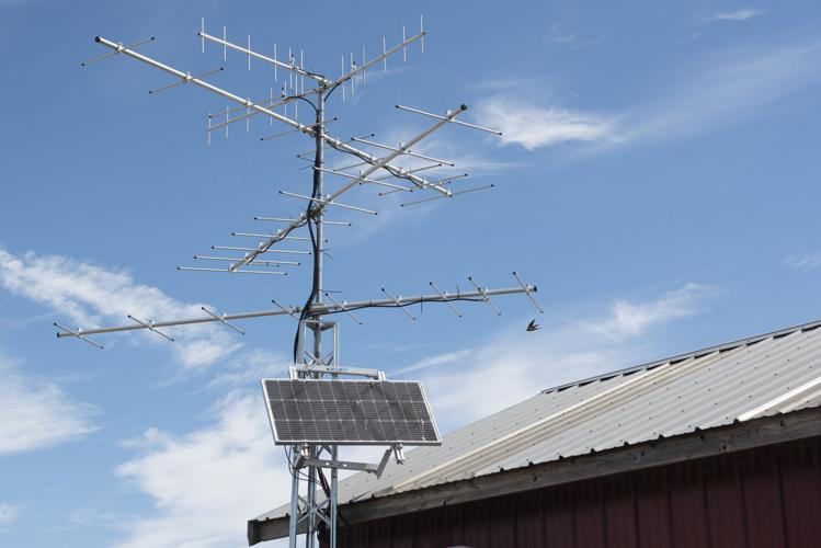 North Puget Sound groups come together to track bird migration | News ...