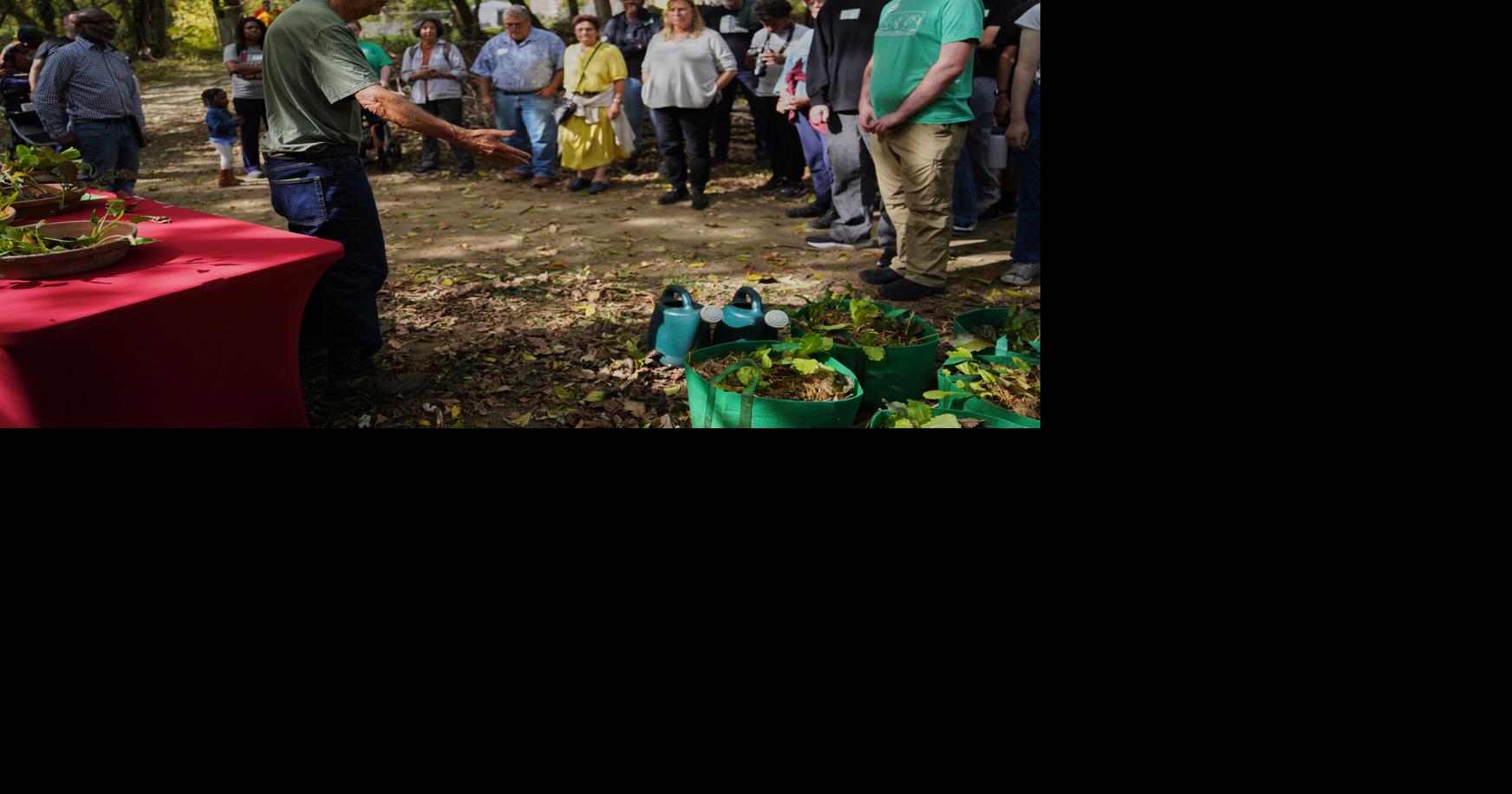 Bit by bit, small US groups chip away at historic levels of social ...