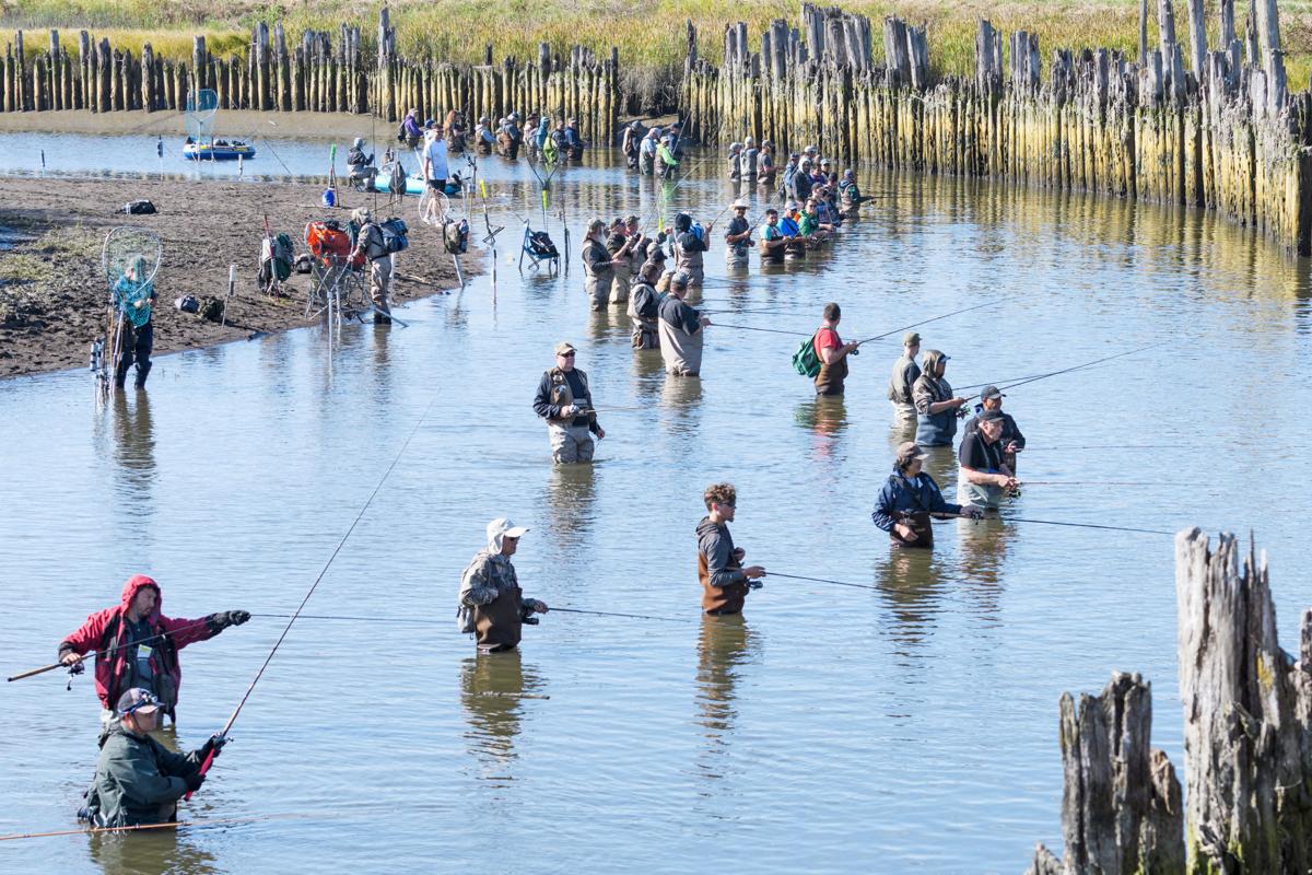 Samish River chinook, Skagit River coho bring fishing opportunities ...