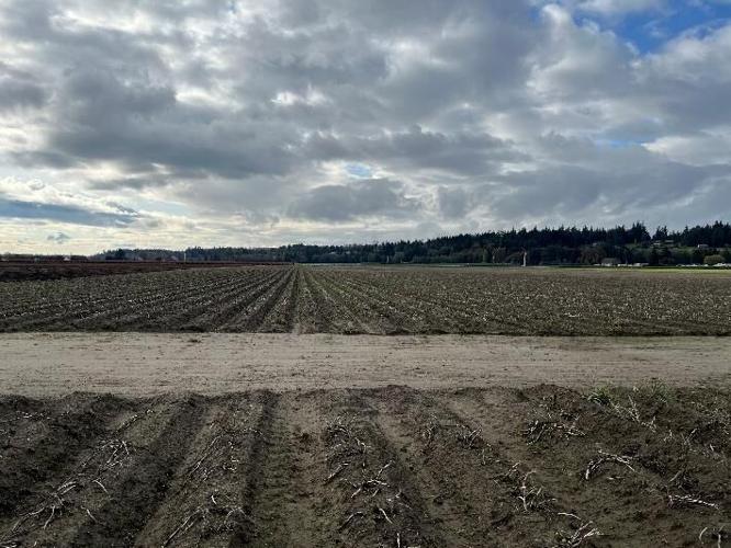Skagit County protects additional 159 acres of farmland | Growskagit ...