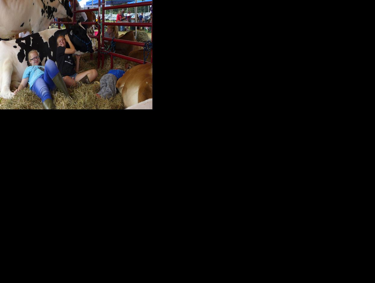 Photo gallery: Silvana Fair, 7.27.19 | Gallery | goskagit.com