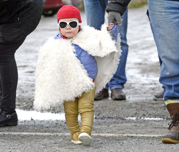 Edison Chicken Parade | Gallery | goskagit.com