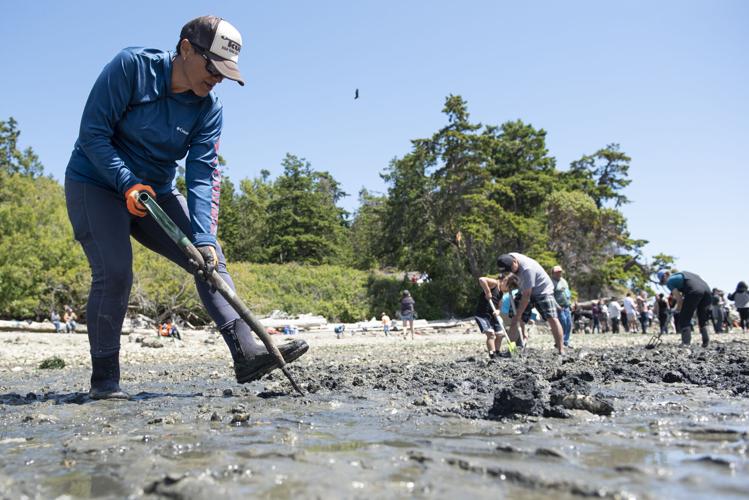 Community works together at Salish Summit | Environment | goskagit.com
