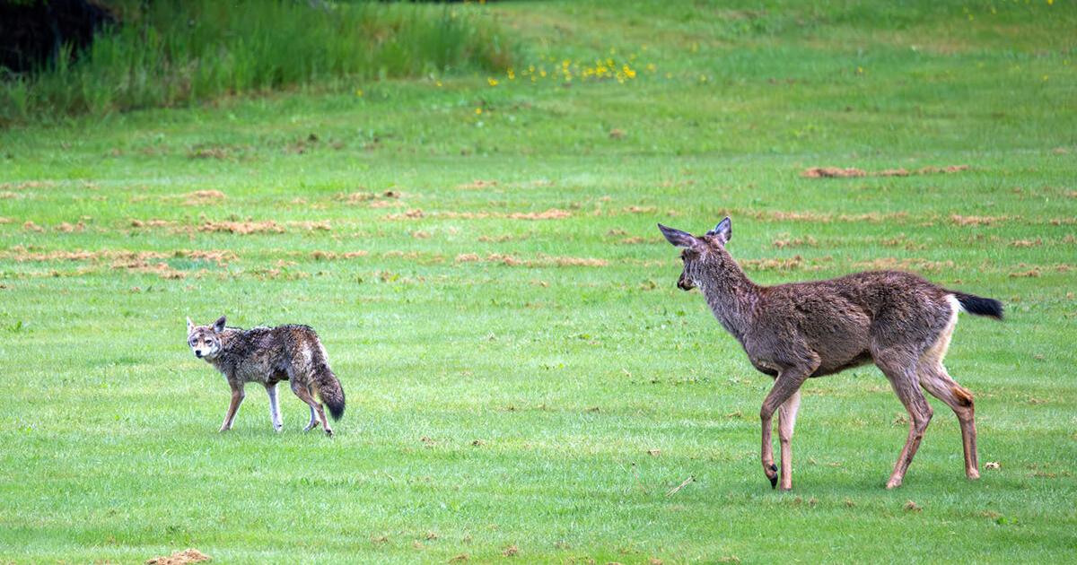 PHOTOS: Skagit Views | Gallery | goskagit.com
