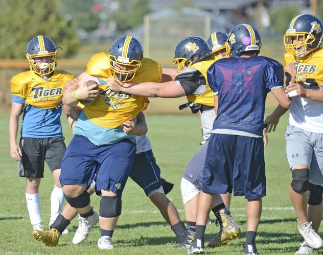 Prep Football Preview: Burlington-Edison Tigers | Sports | goskagit.com