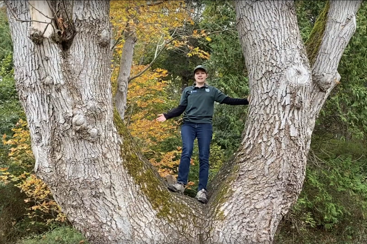 After tough pandemic year, Cama Beach Foundation celebrates a win ...