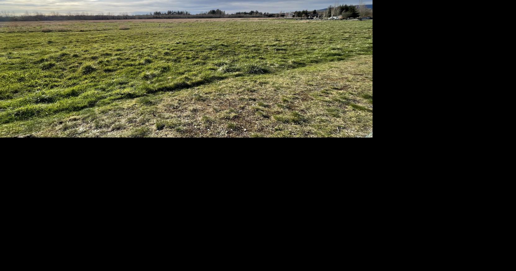 Sedro-Woolley with a second option for moving Riverfront Park ...