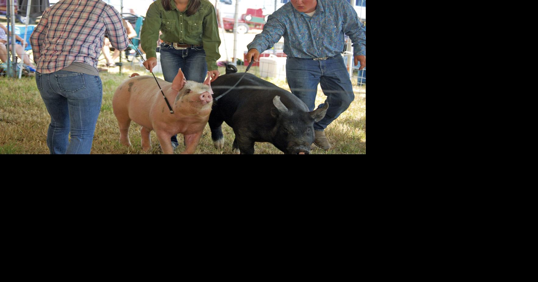 Silvana Fair steeped in tradition | News | goskagit.com