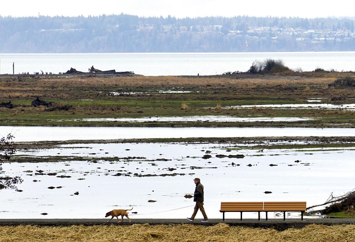 Leque Island reopens to public | News | goskagit.com