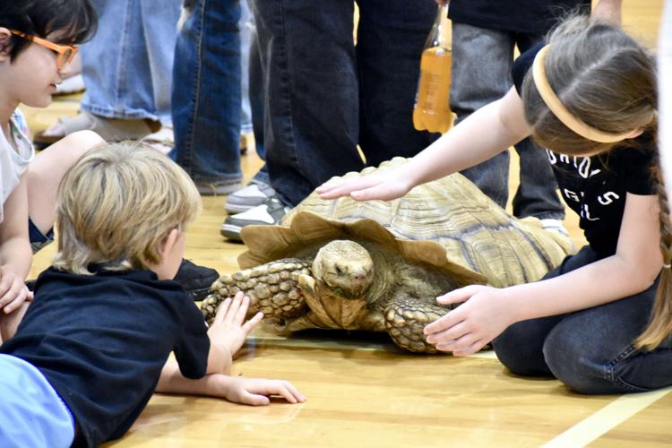 The Reptile Man visits Saratoga School in Stanwood | SC News | goskagit.com