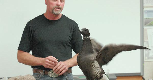 Locals disappointed, understanding with cancellation of brant-hunting ...