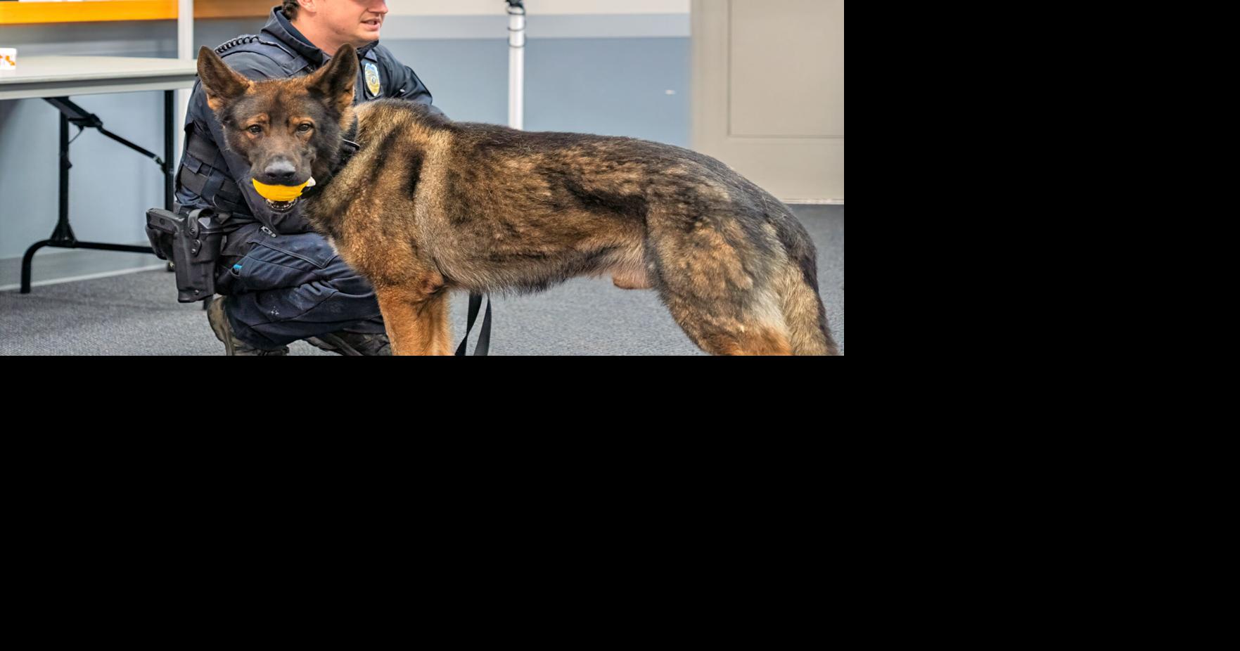 PHOTOS: K-9 Zeke visits the Anacortes Public Library | Gallery ...