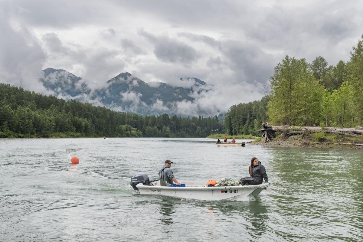 Sockeye fishery a model of salmon recovery, sustainable food | Local ...