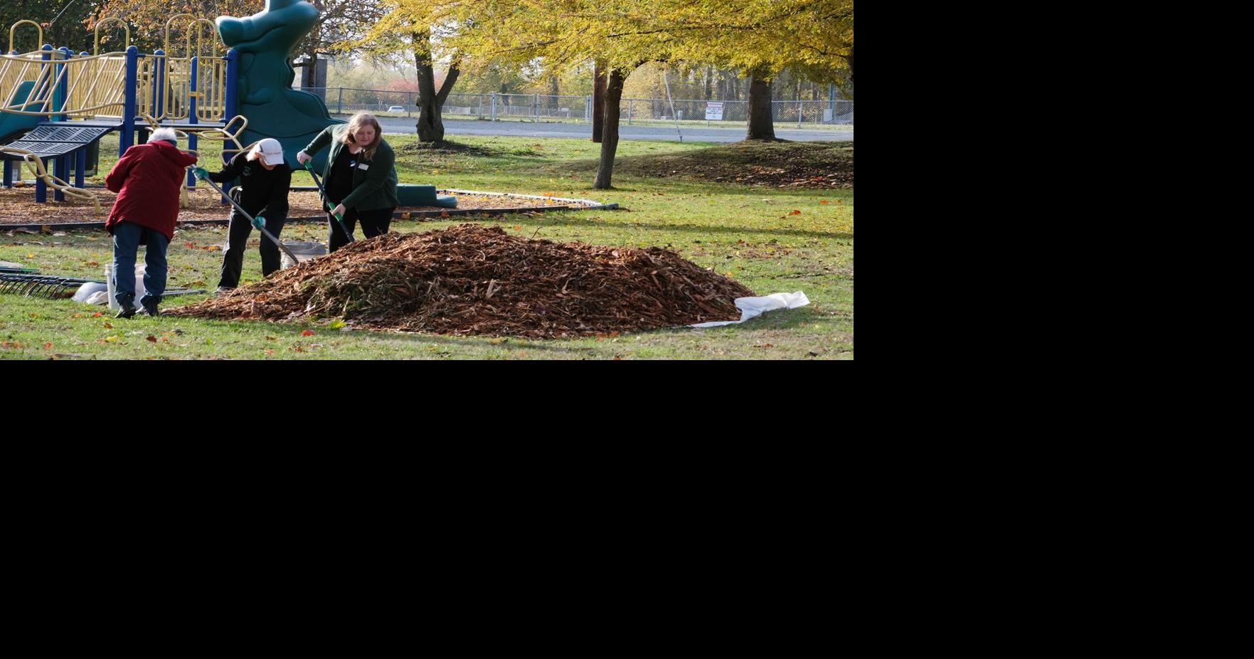 Group gathers to take care of memorial elm trees | News | goskagit.com