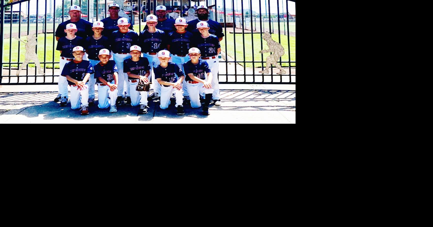 Youth Baseball: Diamond Dogs wrap up season with regional run | Local ...