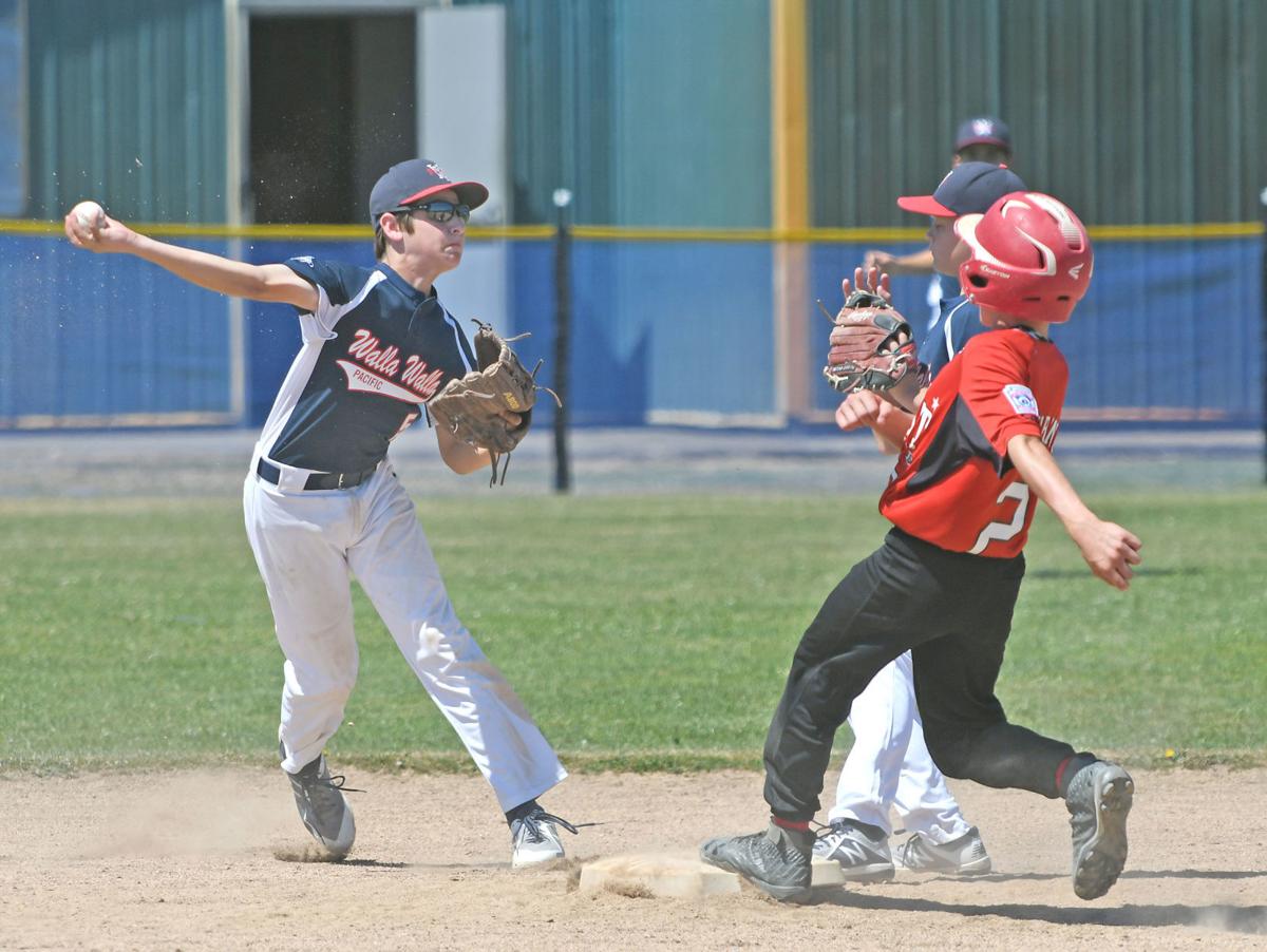 LITTLE LEAGUE STATE TOURNAMENT: West Seattle looking sharp | Sports ...