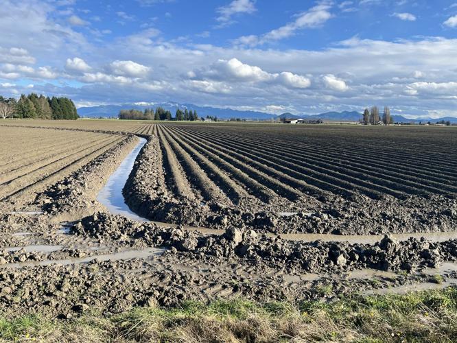 Skagit County protects additional 159 acres of farmland | Growskagit ...