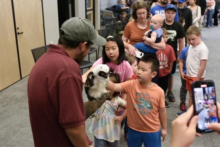 Raptor show held at Mount Vernon Library Commons | Education | goskagit.com