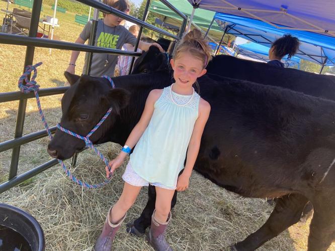 Kids show animals, learn skills at annual Silvana Fair | News ...