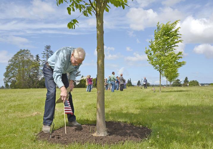 Ceremony held to commemorate Memorial elms | Local News | goskagit.com