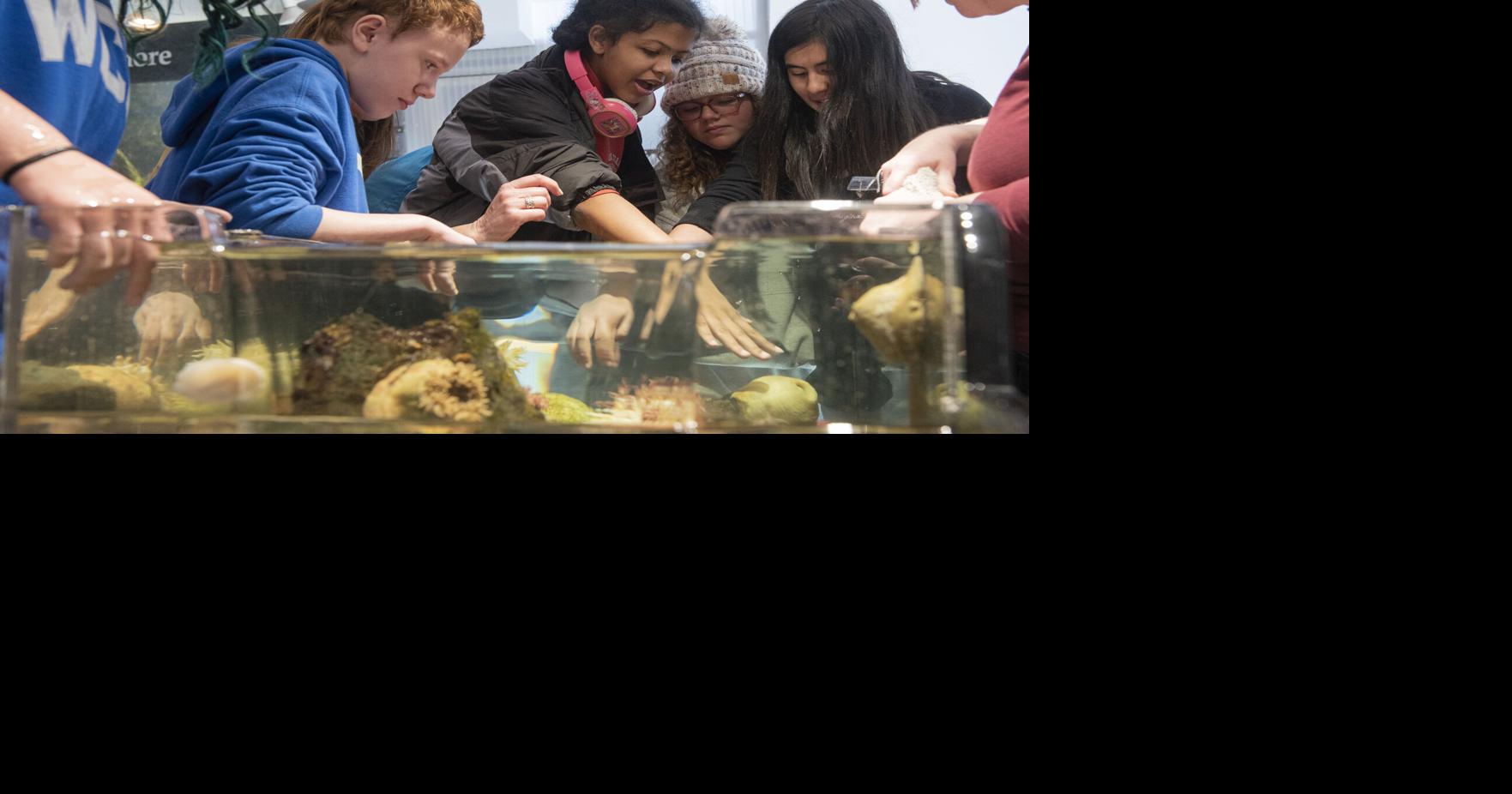 Kids on the Beach program teaches students science skills | Hydrography ...