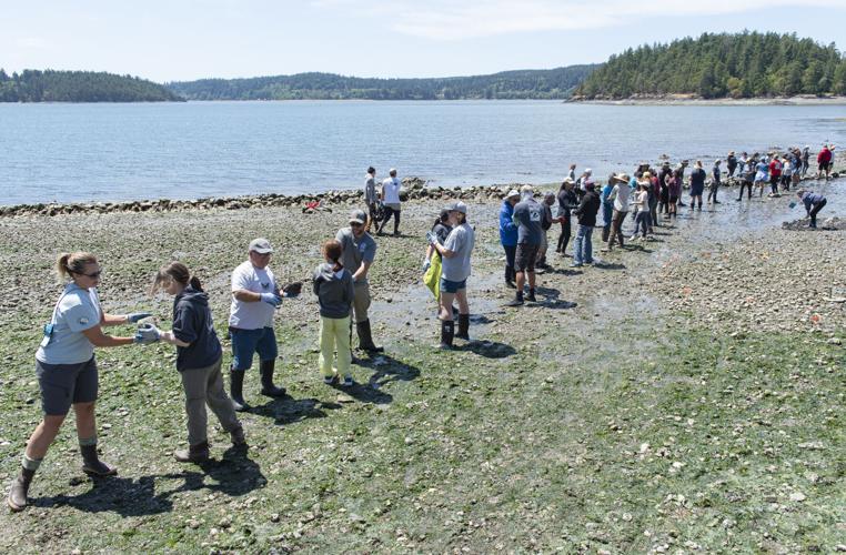 Community works together at Salish Summit | Environment | goskagit.com