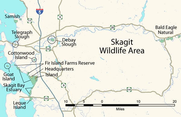Public input sought on Skagit Wildlife Area plan | Local News ...