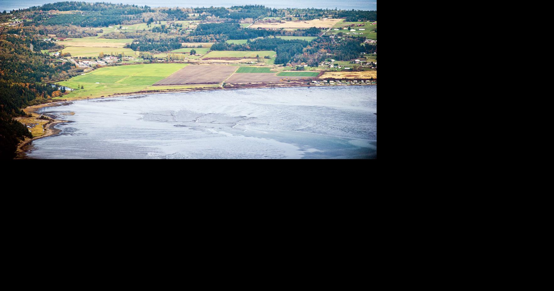 2 local estuary projects get federal funding | News | goskagit.com
