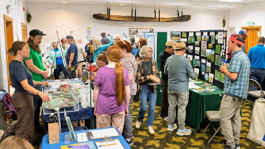 Community celebrates marine wonders at Fidalgo Bay Day | Anacortes ...