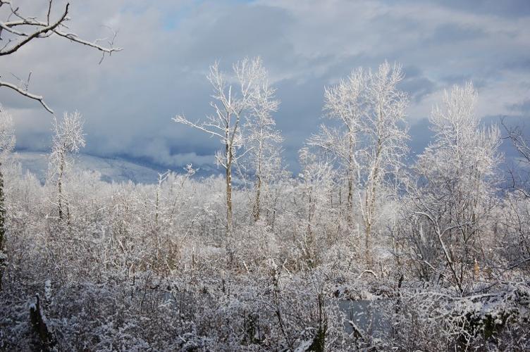 Submitted snow photos | Gallery | goskagit.com
