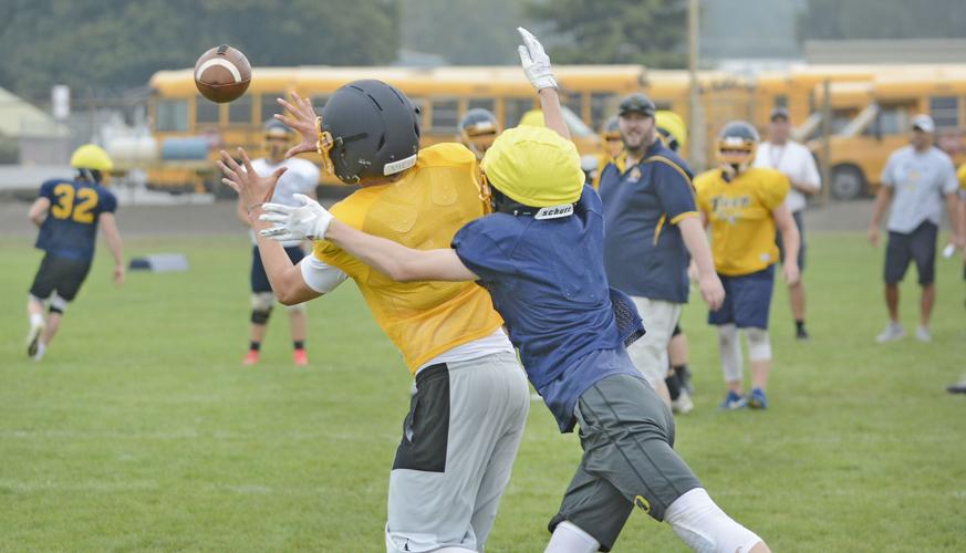 2018 Prep Football Preview: Burlington-Edison Tigers | Sports ...