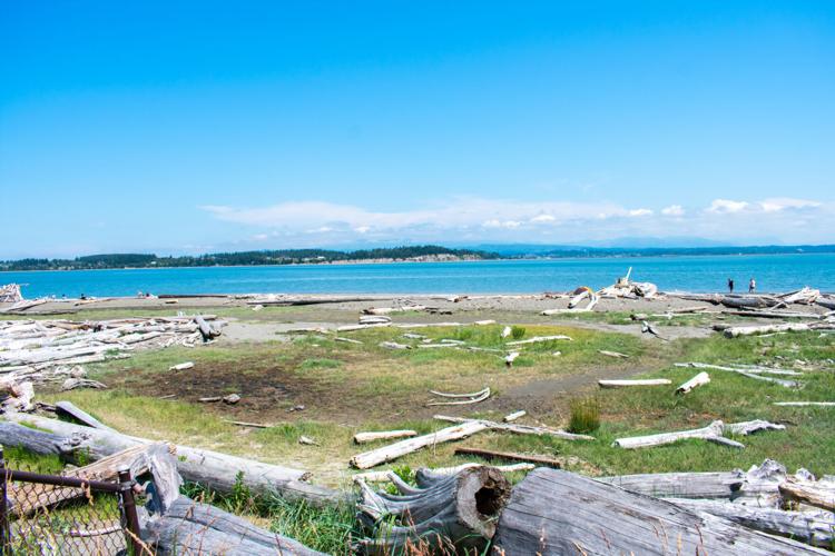 Sound Water Stewards aim to teach locals about Iverson Preserve | SC ...