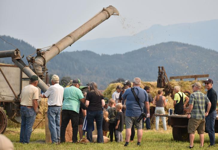 History in action: Belleville Threshing Bee returns | Growskagit ...