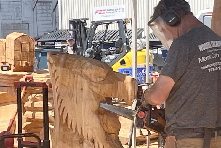 Chain saw carvers get tested at Loggerodeo | 360 | goskagit.com