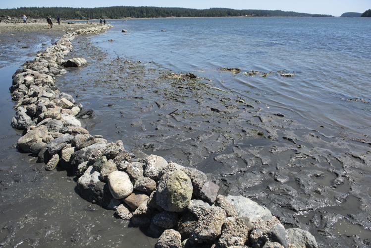 Community works together at Salish Summit | Environment | goskagit.com