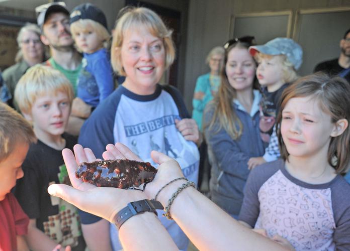 Octopus, other sea creatures draw big crowd at Padilla Bay research ...