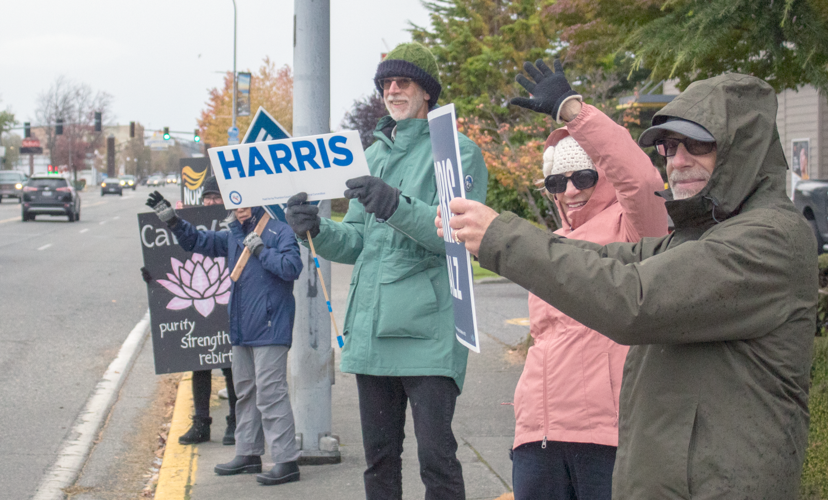 Harris/Walz supporters hold rally in Anacortes | Local News | goskagit.com