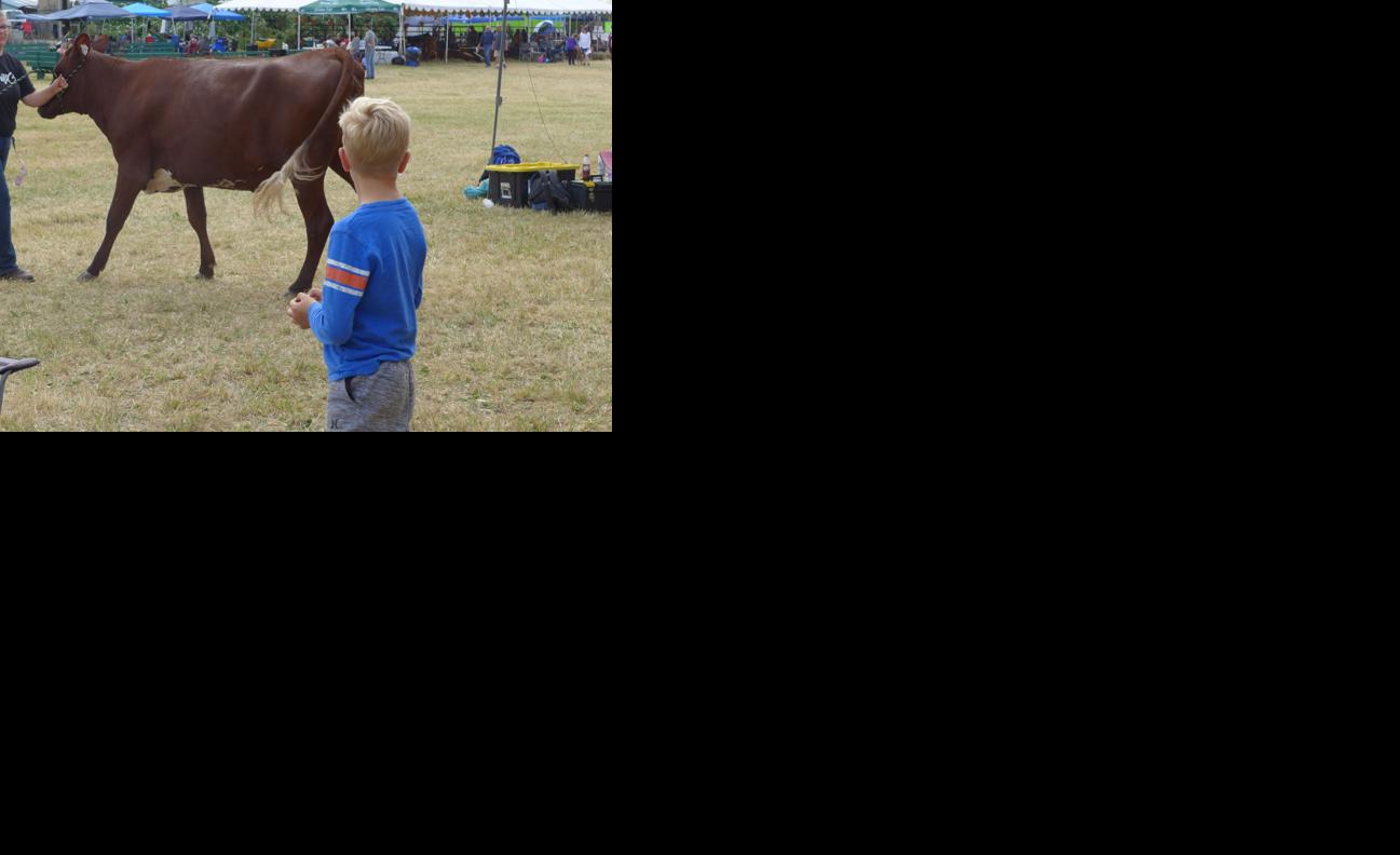 Photo gallery: Silvana Fair, 7.27.19 | Gallery | goskagit.com