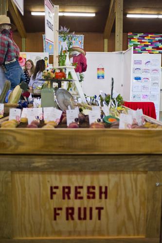 Photo Gallery: Stanwood Camano Community Fair, 8.3.19 | Gallery ...