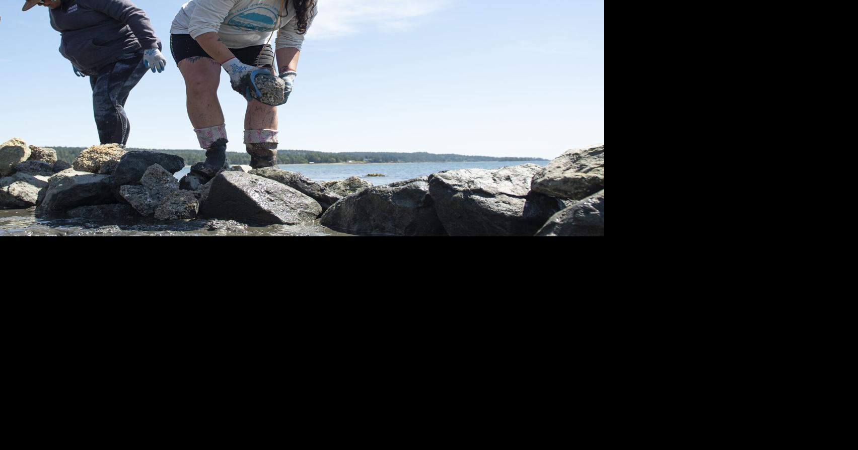 Community works together at Salish Summit | Environment | goskagit.com