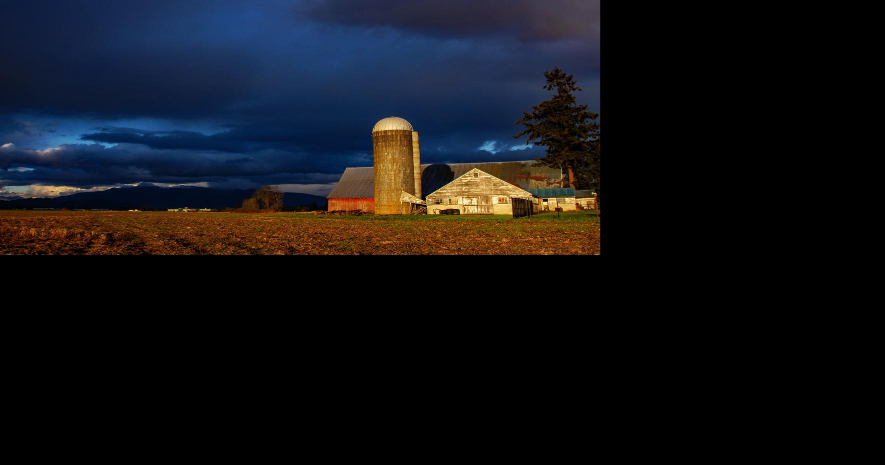 4-13 Skagit Views | Living | goskagit.com