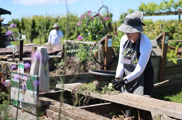 WSU Skagit County Master Gardeners Discovery Garden's 30th anniversary ...