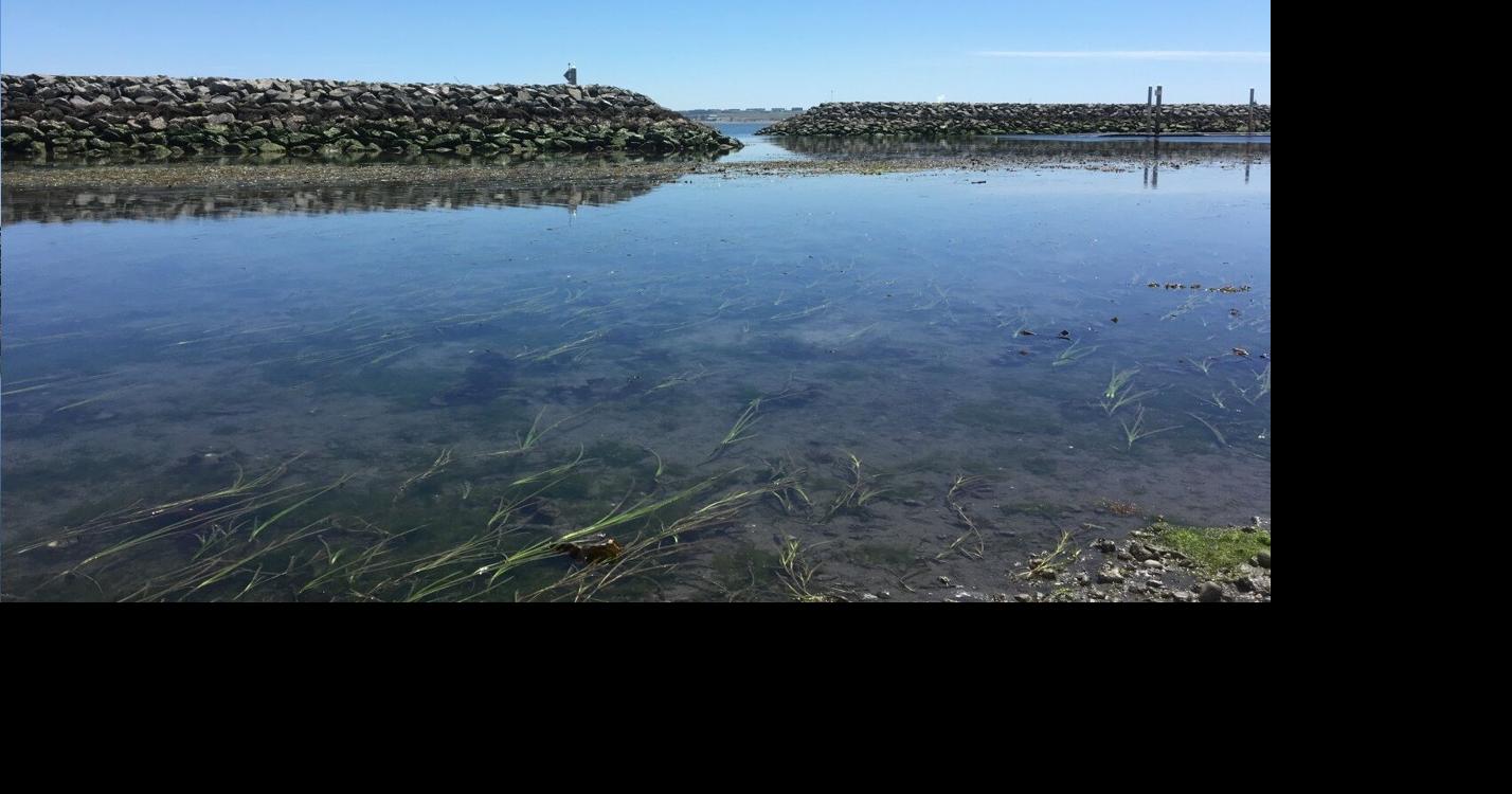 Port, Ecology partnership has led to $64 million in environmental ...