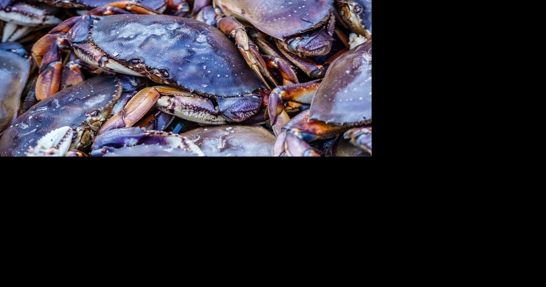 Winter crabbing season begins | News | goskagit.com